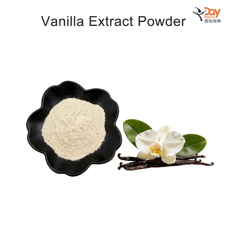 Vanilla Extract Powder – Top Natural Food Ingredients Manufacturers ...
