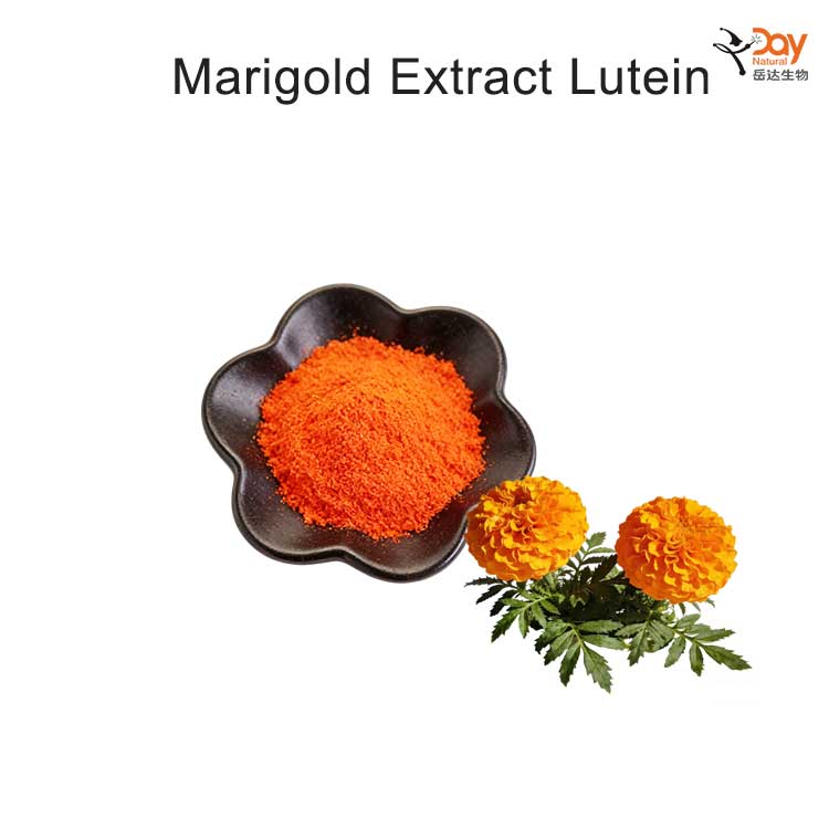Lutein Powder From Marigold Extract – Top Natural Food Ingredients ...