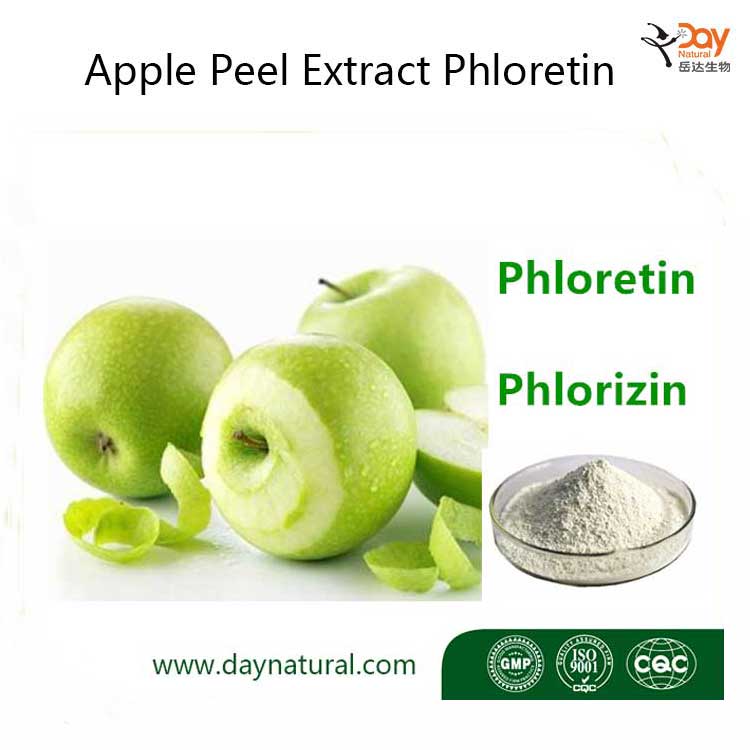 Manufacturer Supplies Organic Apple Peel Extract Phloretin Powder