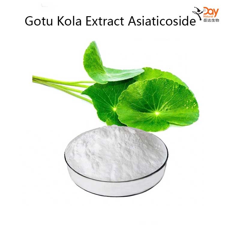 Gotu Kola Extract Asiaticoside Powder - Top Natural Food Ingredients ...