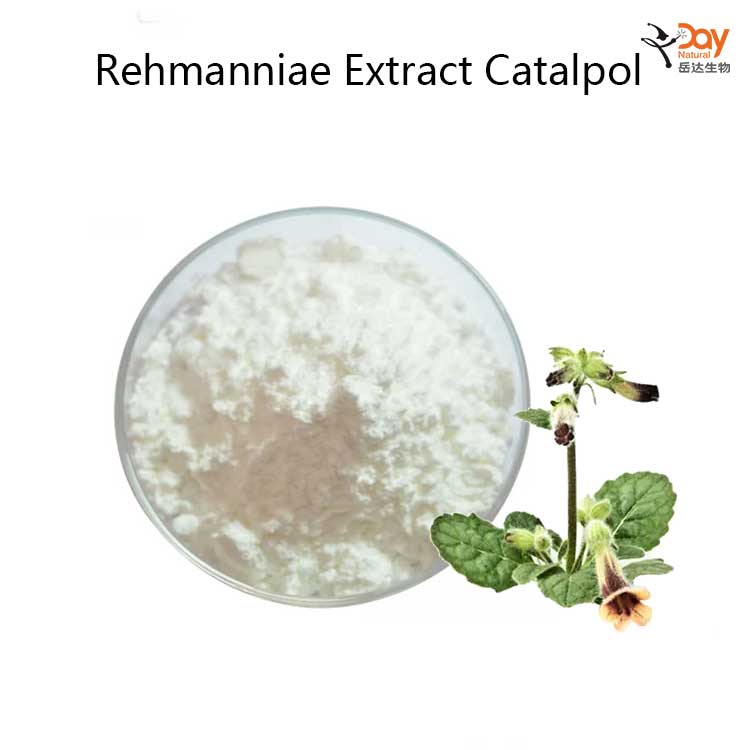 Rehmanniae Extract Catalpol Powder - Top Natural Food Ingredients ...