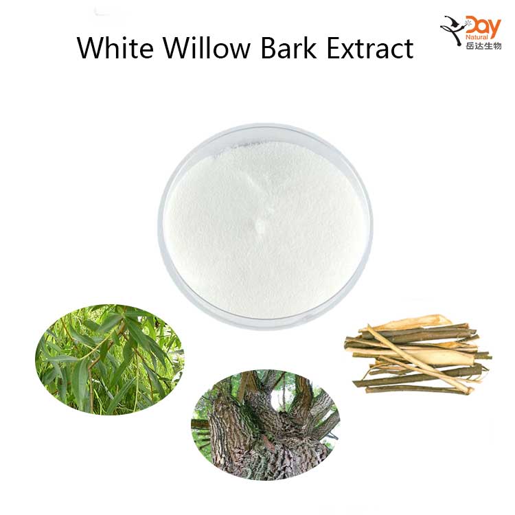 Top Quality 98% Salicin Powder White Willow Bark Extract Factory ...