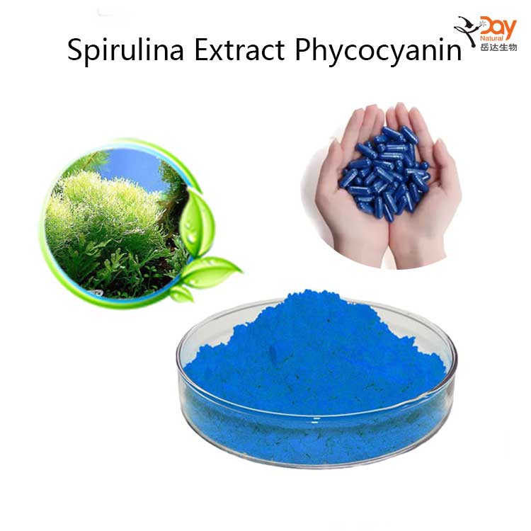 Natural Spirulina Extract Phycocyanin Powder - Top Natural Food ...