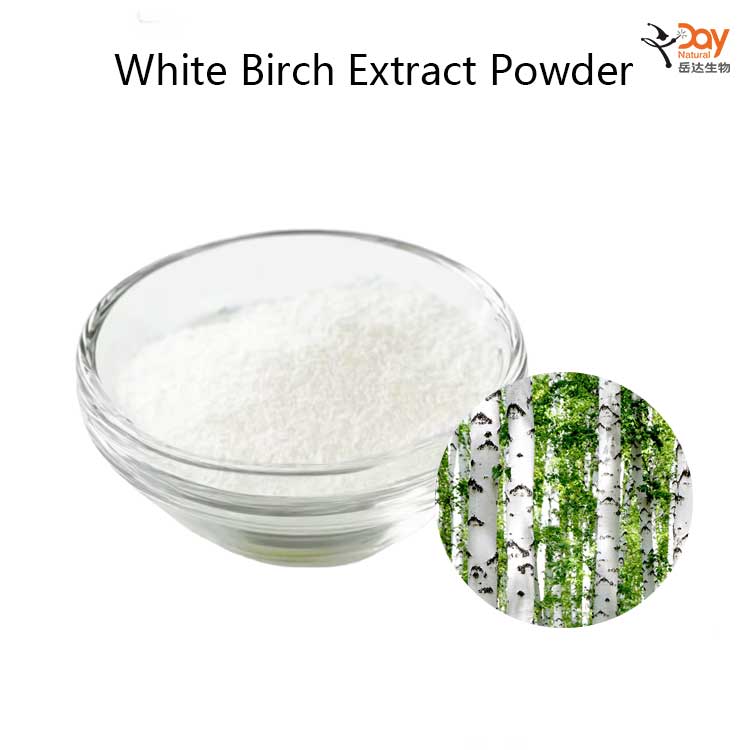 White Birch Extract Betulinic Acid Powder - Top Natural Food ...