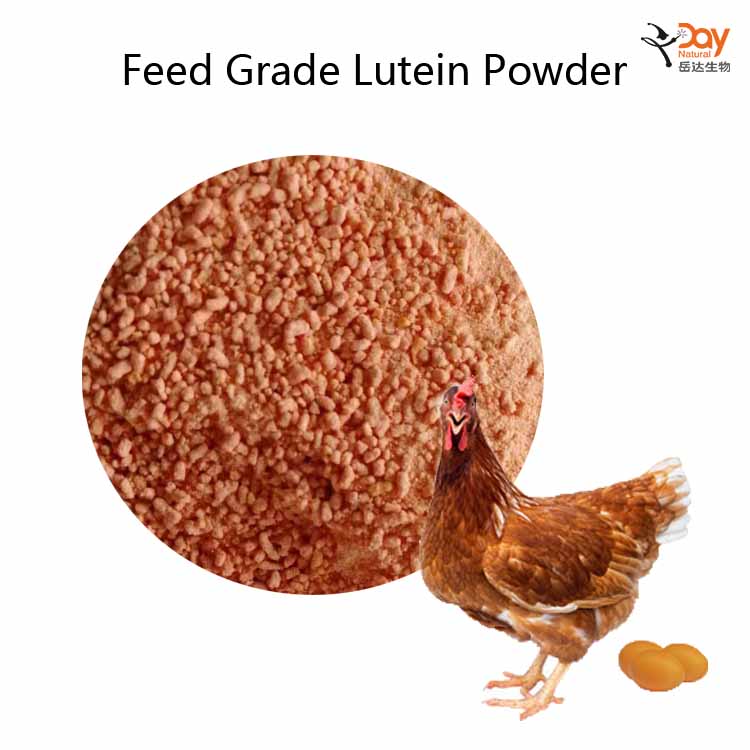 Pure Natural Feed Grade Lutein - Top Natural Food Ingredients ...