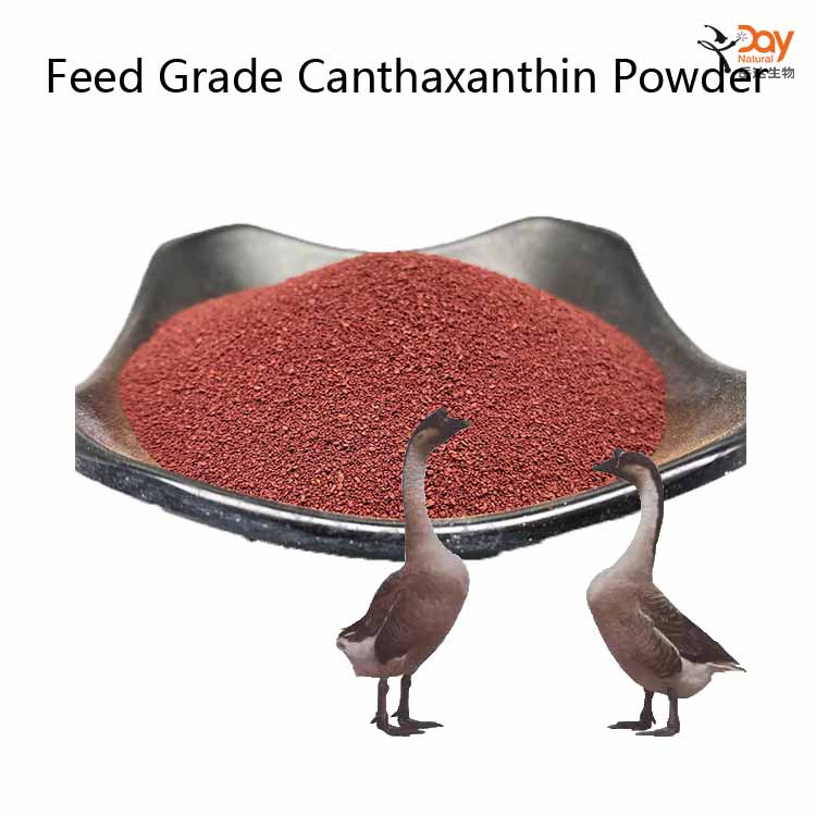Pure Natural Feed Grade Cantharidin powder Chinese Manufacturer