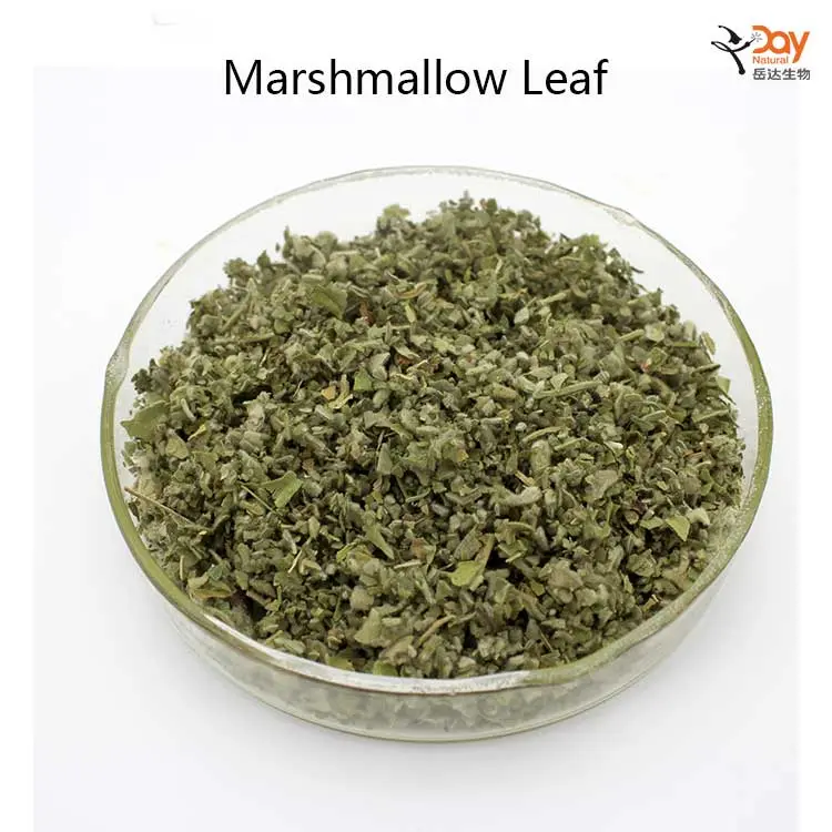 Wholesale High Quality Marshmallow Leaf - Top Natural Food Ingredients Manufacturers-DayNatural