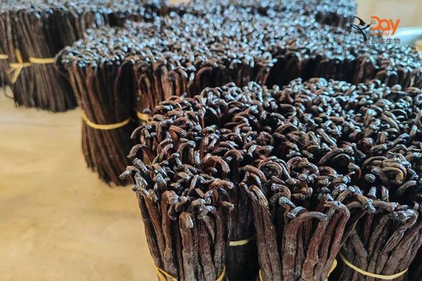 Vanilla Pods - Top Natural Food Ingredients Manufacturers-DayNatural
