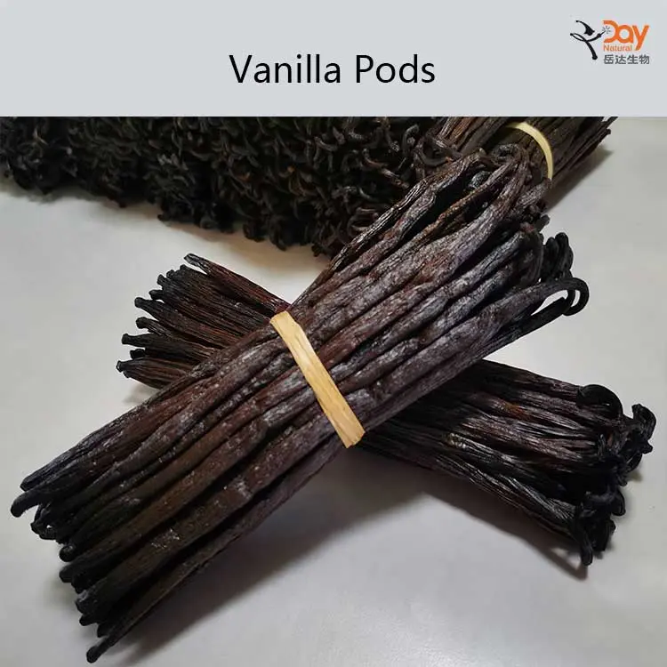 Vanilla Pods – Top Natural Food Ingredients Manufacturers-DayNatural